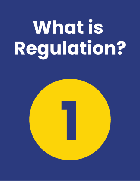 the four zones of regulation concept 2 before they can check in in each ...